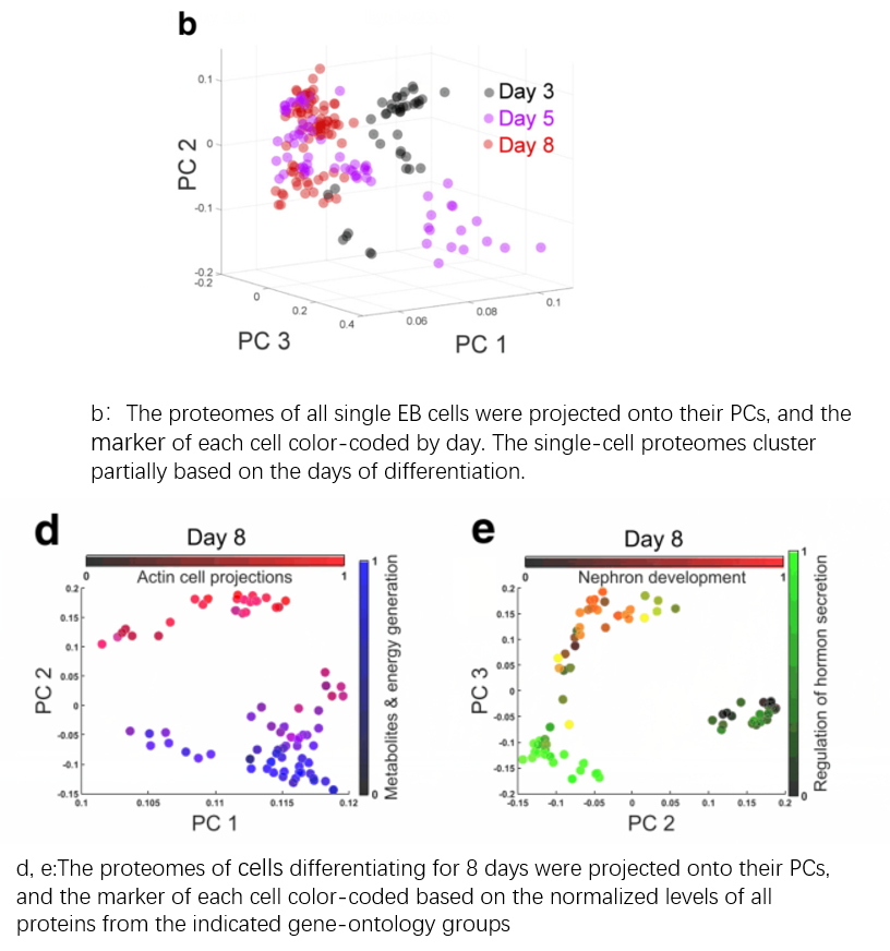 【教程】组学研究，用python快速实现PCA分析和绘图_代谢