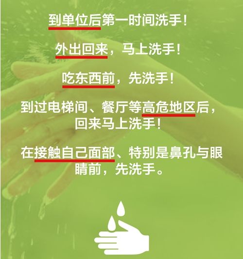 今天，你洗手了吗？_细菌