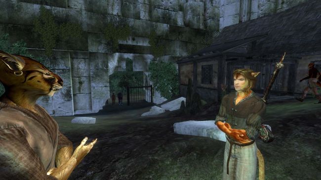 这个mod将卡吉特的家园让人遗忘_Khajiit