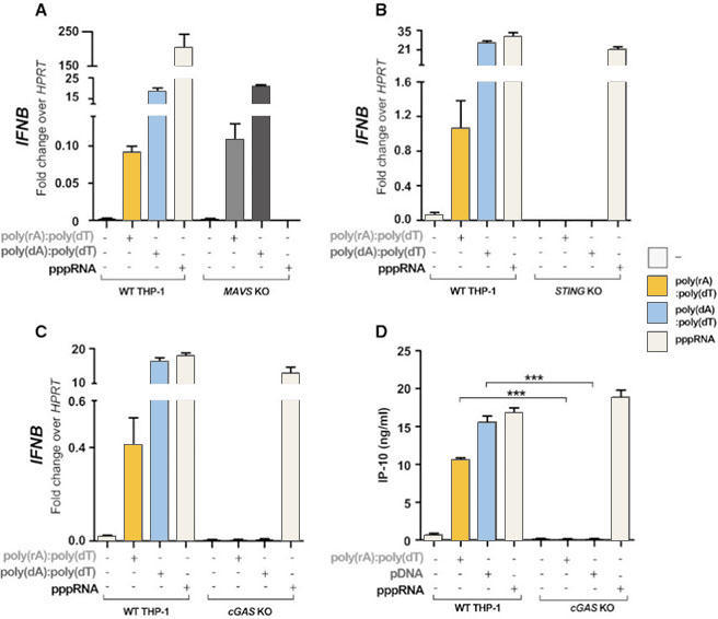 THP-1基因敲除细胞系 ——免疫与炎症研究的利器_诱导
