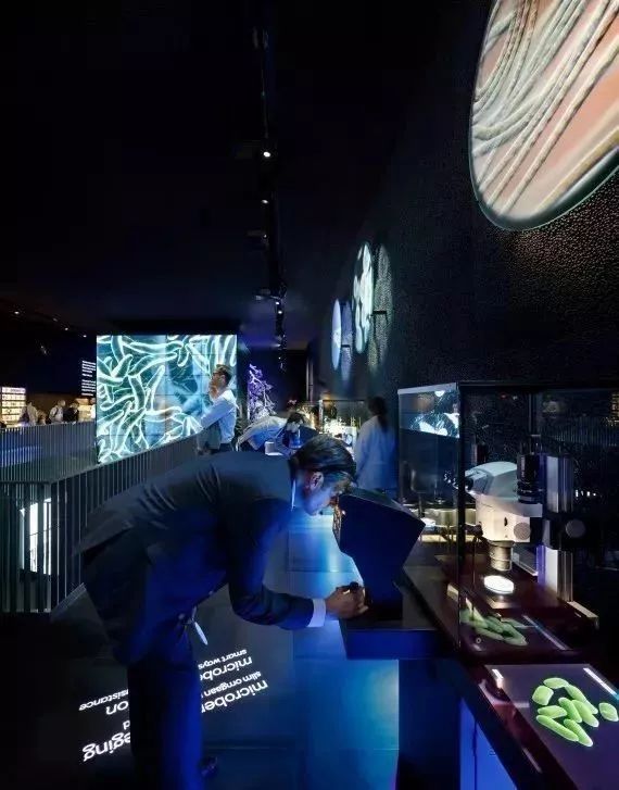 微生物博物馆Micropia——我看见了另一个自己！_互动