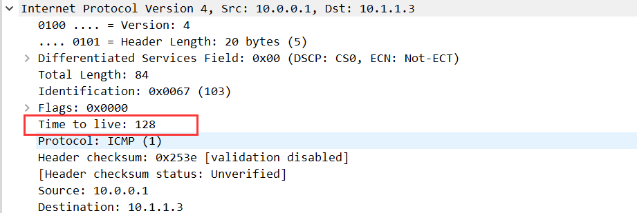 Ping命令及其常用参数详解_报文