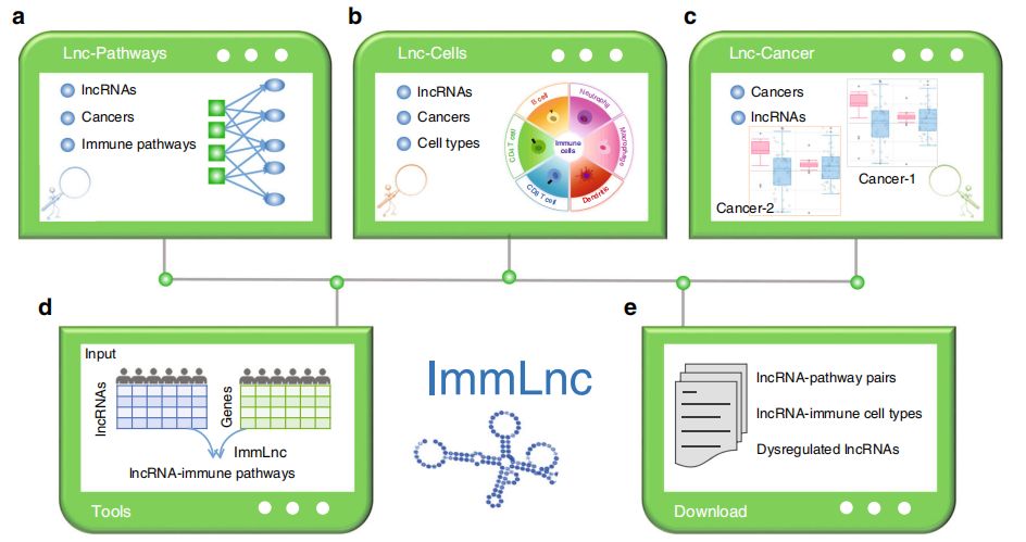 做高热度的泛癌免疫相关lncRNA分析，你需要这个网站！_lnCAR
