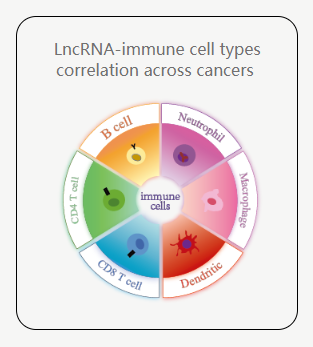 做高热度的泛癌免疫相关lncRNA分析，你需要这个网站！_lnCAR