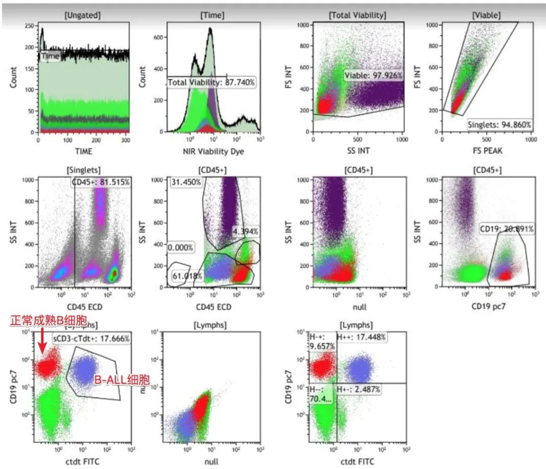 TdT的内对照和分析示意图_细胞