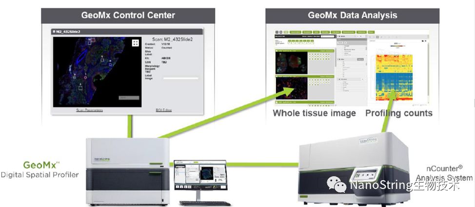 GeoMx Digital SpatialProfiler 新一代空间组学解密工具暨中文线上论坛邀请-搜狐大视野-搜狐新闻