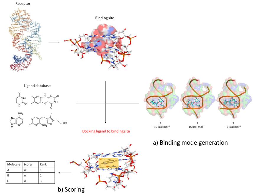 EJMC | 小分子与核酸对接方法的现状与挑战_模式