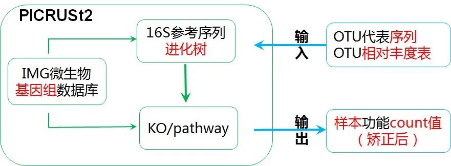 PICRUSt 2——更加强大的菌群功能预测工具_软件