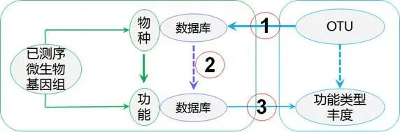 PICRUSt 2——更加强大的菌群功能预测工具_软件