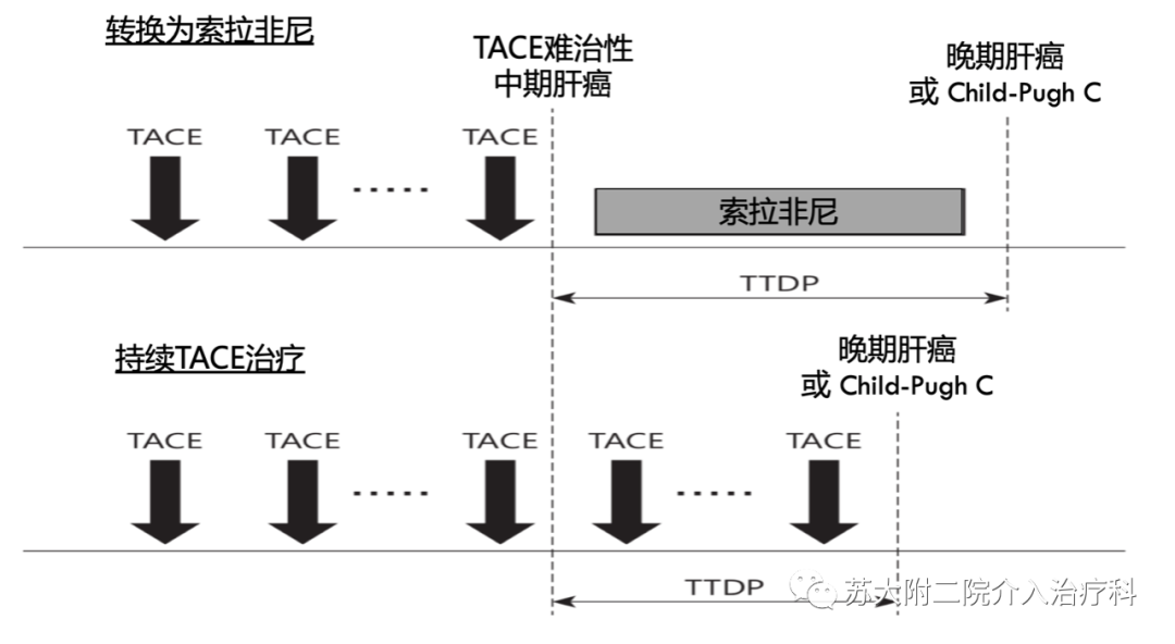 文献速递（第414期）—索拉非尼在TACE难治性中期肝细胞癌患者中的疗效_治疗