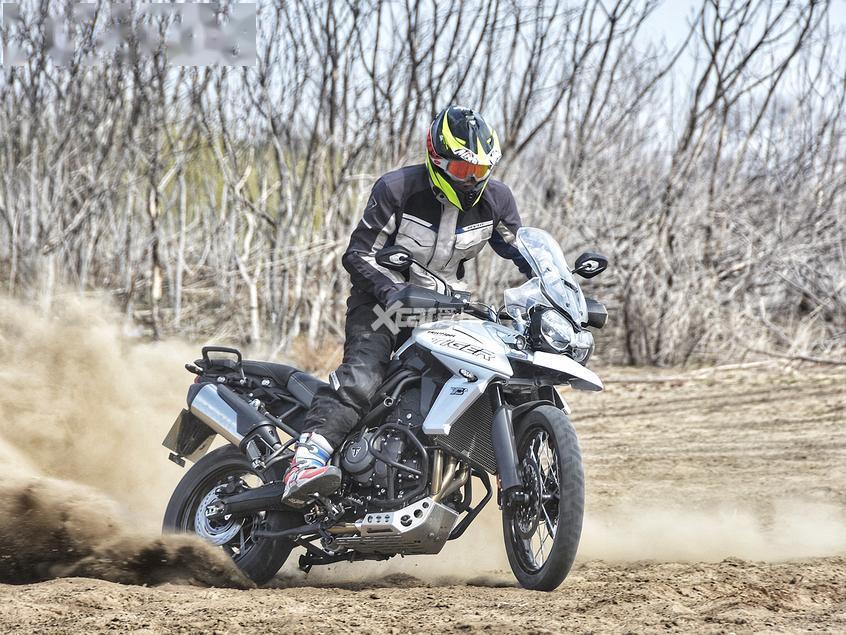 凯旋800adv,老虎(第3页)_大山谷图库