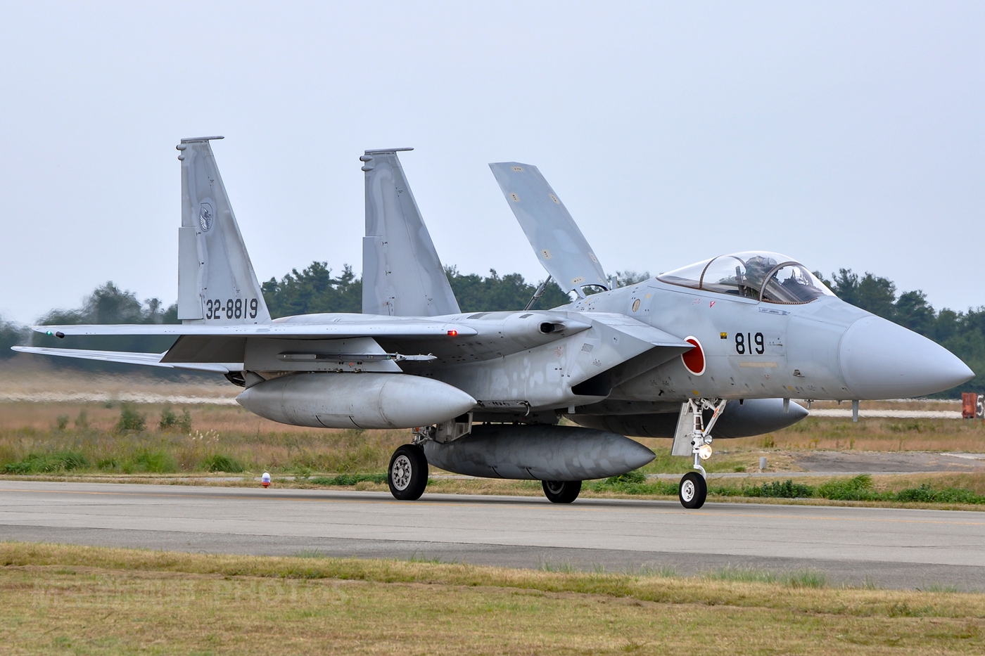 f-15j,涂装_大山谷图库