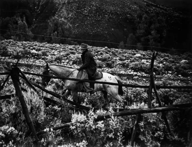 尤金·史密斯摄影的人道主义精神_水俣村