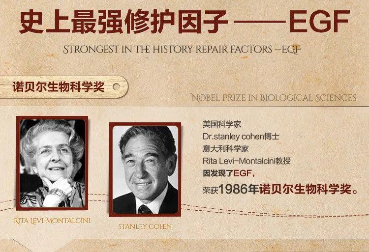 EGF家族的生物学特性及结构_蛋白