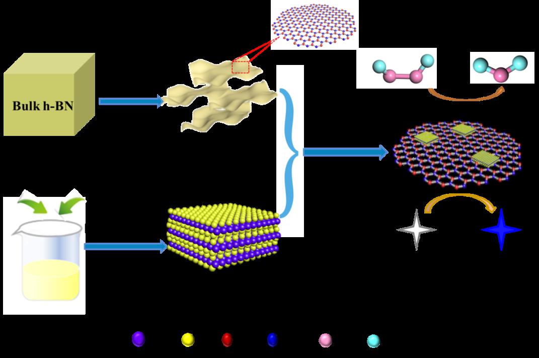Chem-Asian.J.：具有增强的类过氧化物酶性能的2D/2D h-BN/N-MoS2异质催化剂用于H2O2的可视化比色检测-搜狐大视野-搜狐新闻
