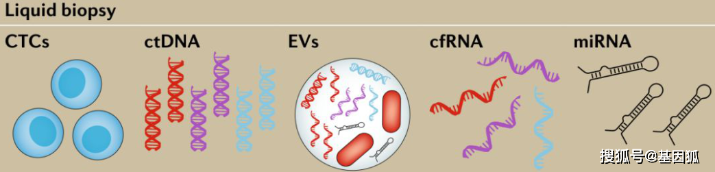 科普 | 循环肿瘤 DNA（circulating tumor DNA, ctDNA）检测与肿瘤治疗_cfRNA