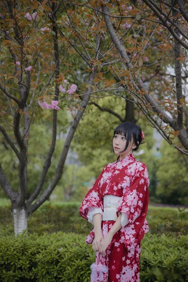 浴衣私影~春天和樱花妹-搜狐大视野-搜狐新闻