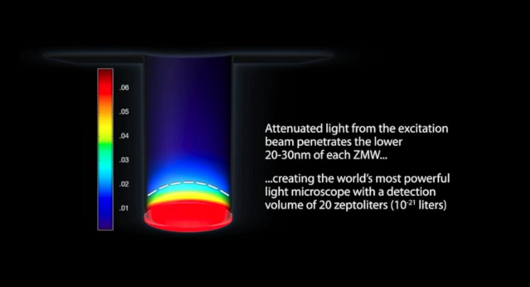 【技术趋势】解析PacBio和Oxford Nanopore的未来技术优化可能_标准