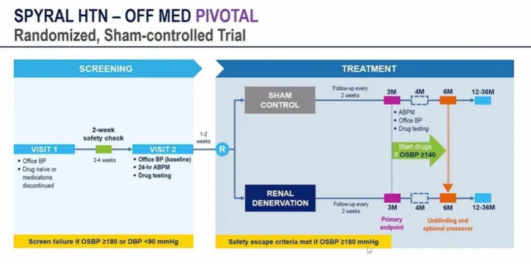 ACC.20丨肾动脉消融是否为高血压病治疗的长久之路？ SPYRAL HTN-OFF MED Pivotal初步研究结果_患者