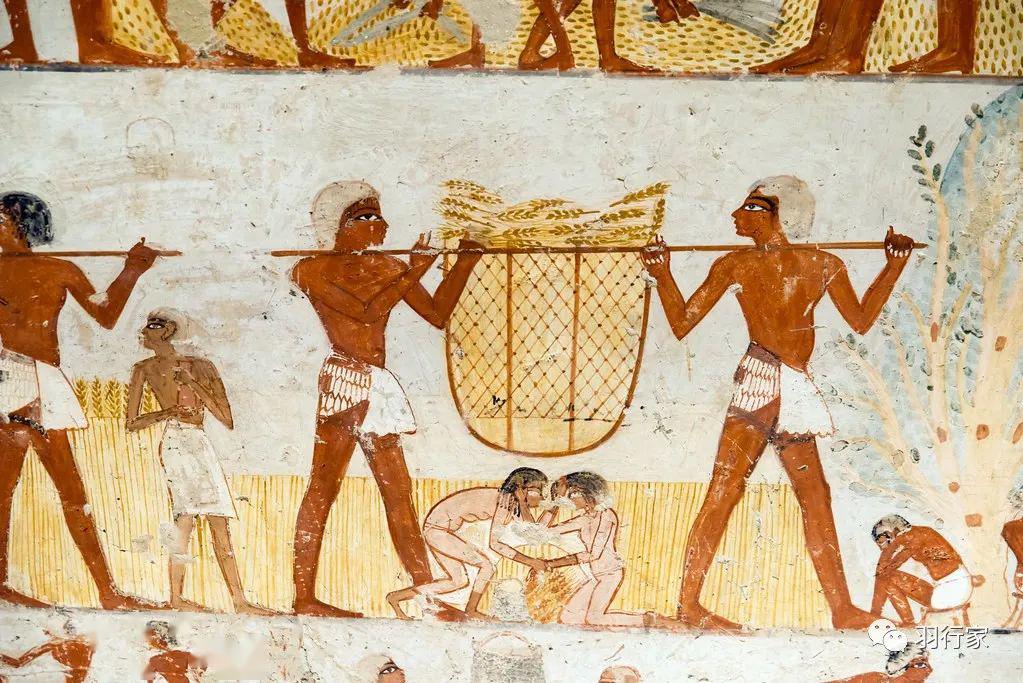 【小羽说画】第2集-古埃及壁画_陵墓