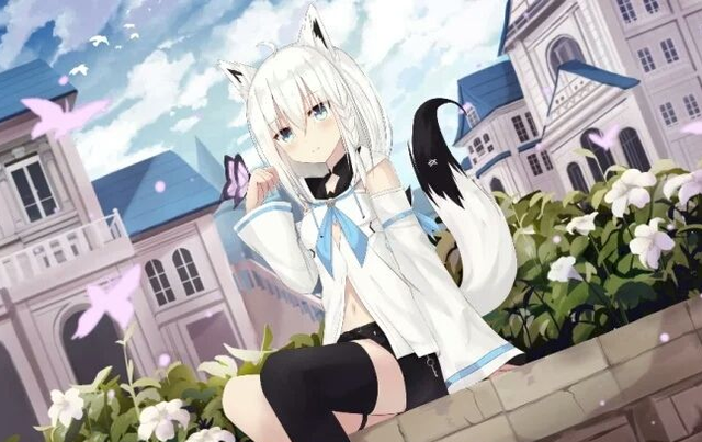 awsl什么意思，awsl网络用语到底啥意思，awsl是缩写啥意思-搜狐大视野-搜狐新闻