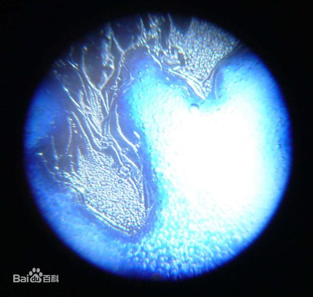 元青花及明永宣青花“苏麻离青”钴料独具特征！历代苏麻离青特征_中国
