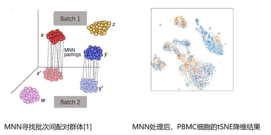 你的实验结果含有批次效应吗？快来了解！_SeqGeq