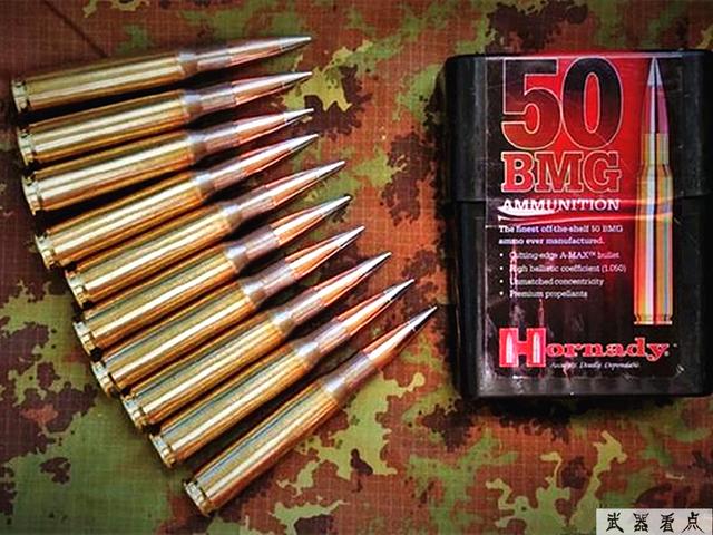 军事丨一群业余爱好者造出，世界顶级狙击步枪！-搜狐大视野-搜狐新闻