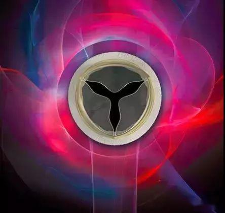 纯聚合物材质心脏瓣膜 ----Tria heart valves-搜狐大视野-搜狐新闻