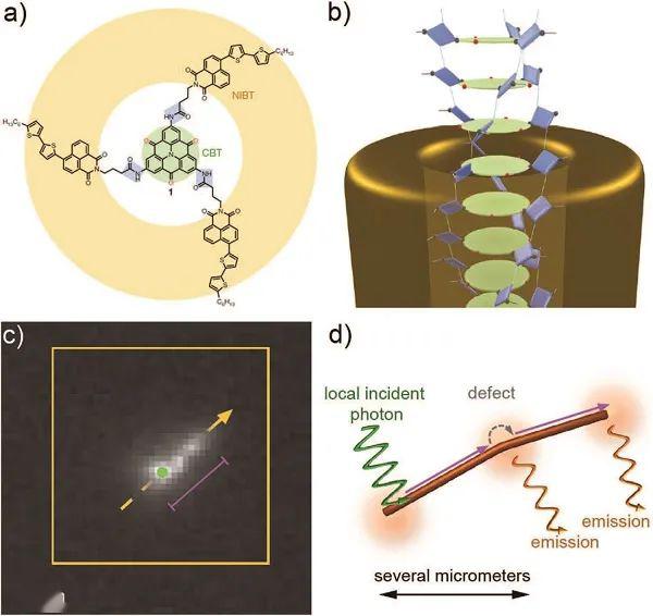 美国西北大学Samuel I. Stupp教授Adv. Mater.综述：超分子能量材料-搜狐大视野-搜狐新闻