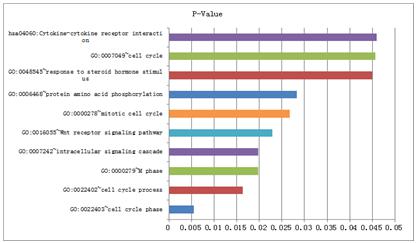 用RWR模型从PPI网络挖掘疾病基因_分析