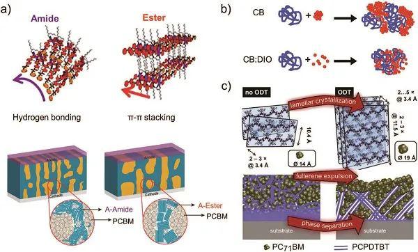 美国西北大学Samuel I. Stupp教授Adv. Mater.综述：超分子能量材料-搜狐大视野-搜狐新闻