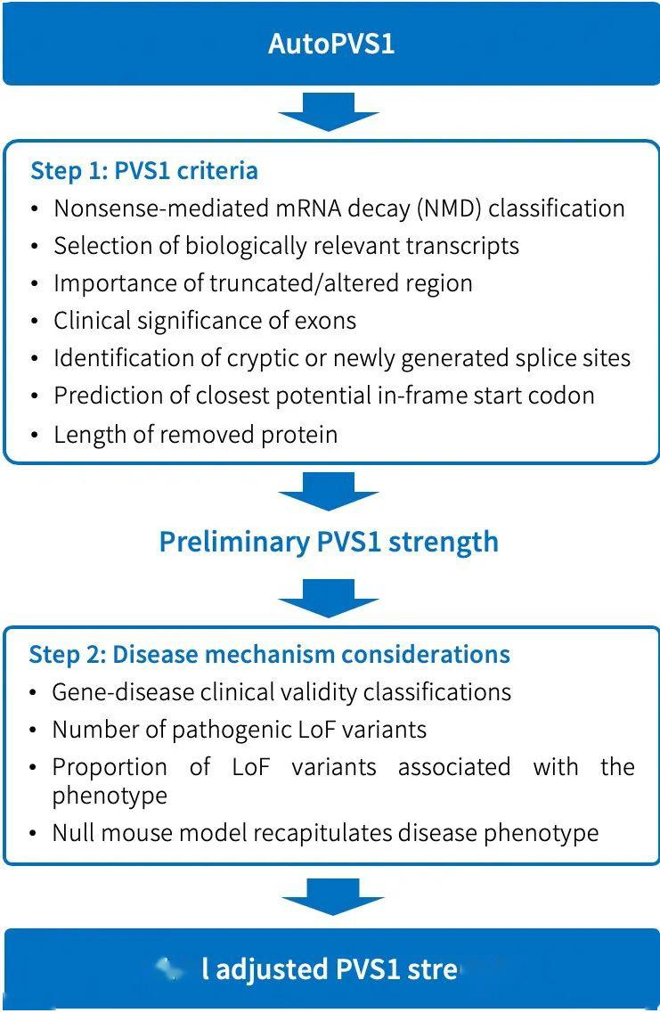 好消息！华大基因发布自动化PVS1解读工具AutoPVS1_变异