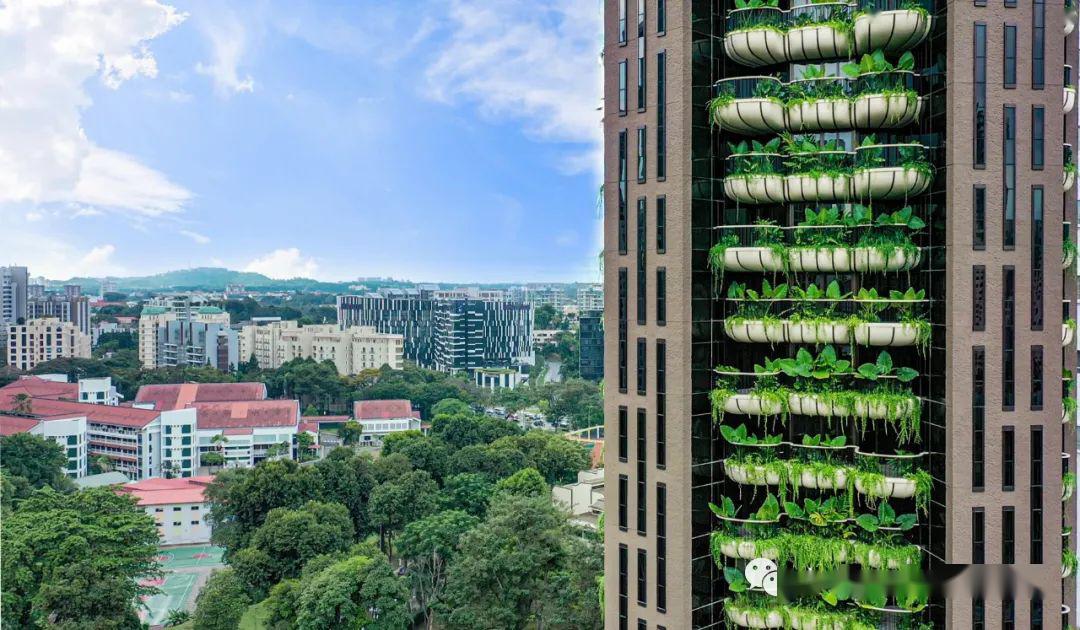 【首发】2020地产必看：鬼才Heatherwick新加坡最新豪宅EDEN！_建筑