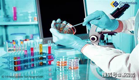 科普 | ISO15189与CNAS-CL02医学实验室认可流程_检验
