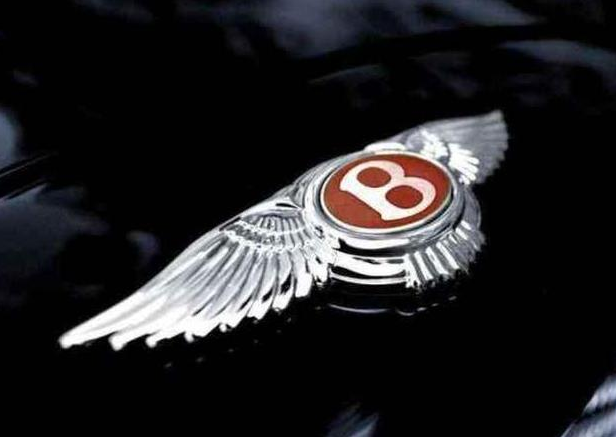 最出名的4个B字车标，这个国产品牌也上榜，网友：中国制造牛气_搜狐汽车_搜狐网