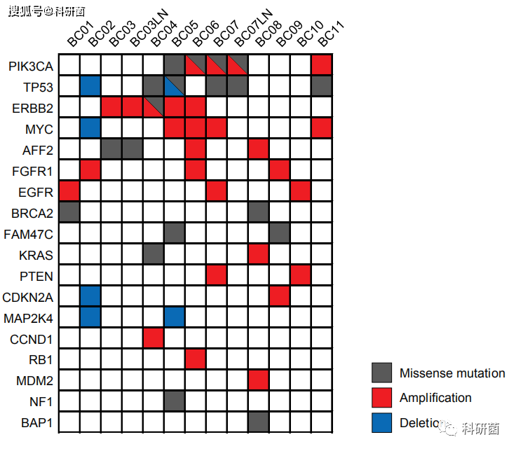 Nat Commun：乳腺癌单细胞测序深度解析_RNA-seq