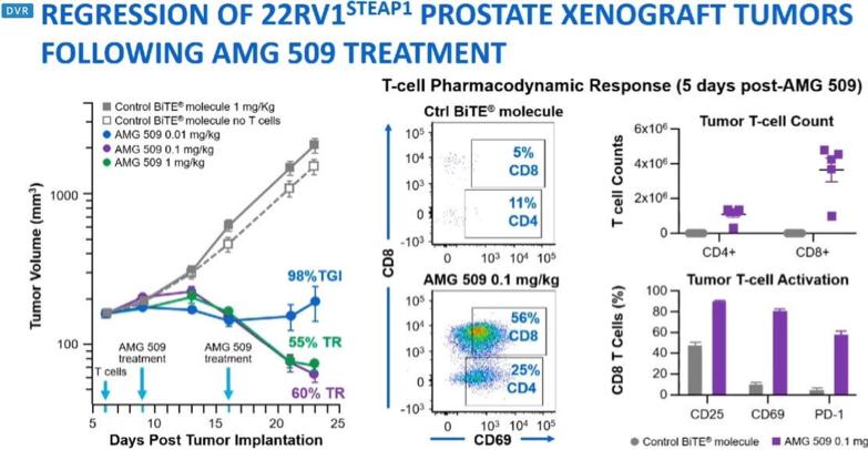 新靶点，新平台：安进创新双抗AMG 509（STEAP1xCD3）闪耀2020 AACR_Xmab