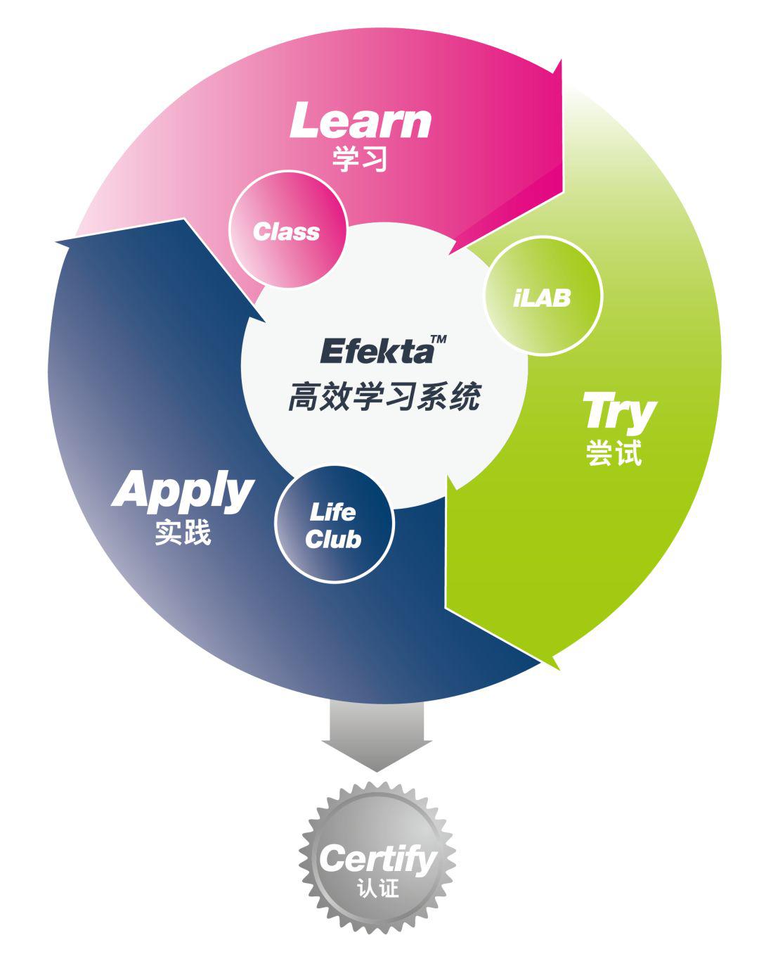 EF Life Club全新升级！4大主题，一站式解锁你的全能宝贝！_搜狐汽车_搜狐网