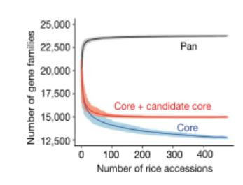 泛基因组(Pan-genome)研究思路与应用—作物篇_物种