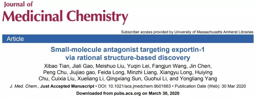 JMC |基于结构的exportin-1小分子共价拮抗剂的发现_Leu
