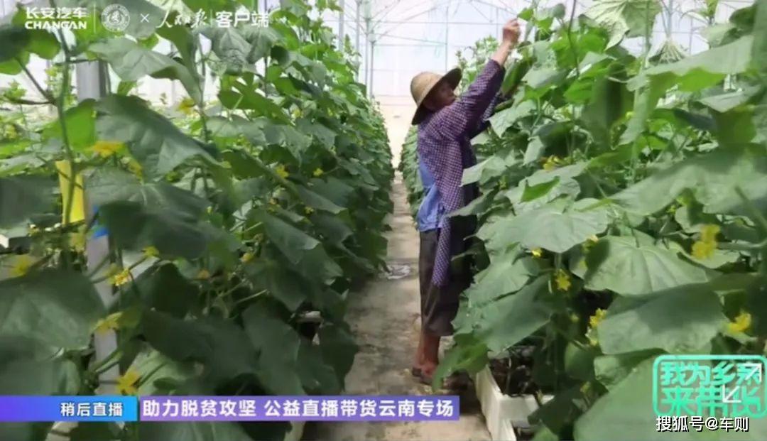 转行做农产品？长安汽车跨界卖货，3410万人围观，引公益扶贫风向_直播