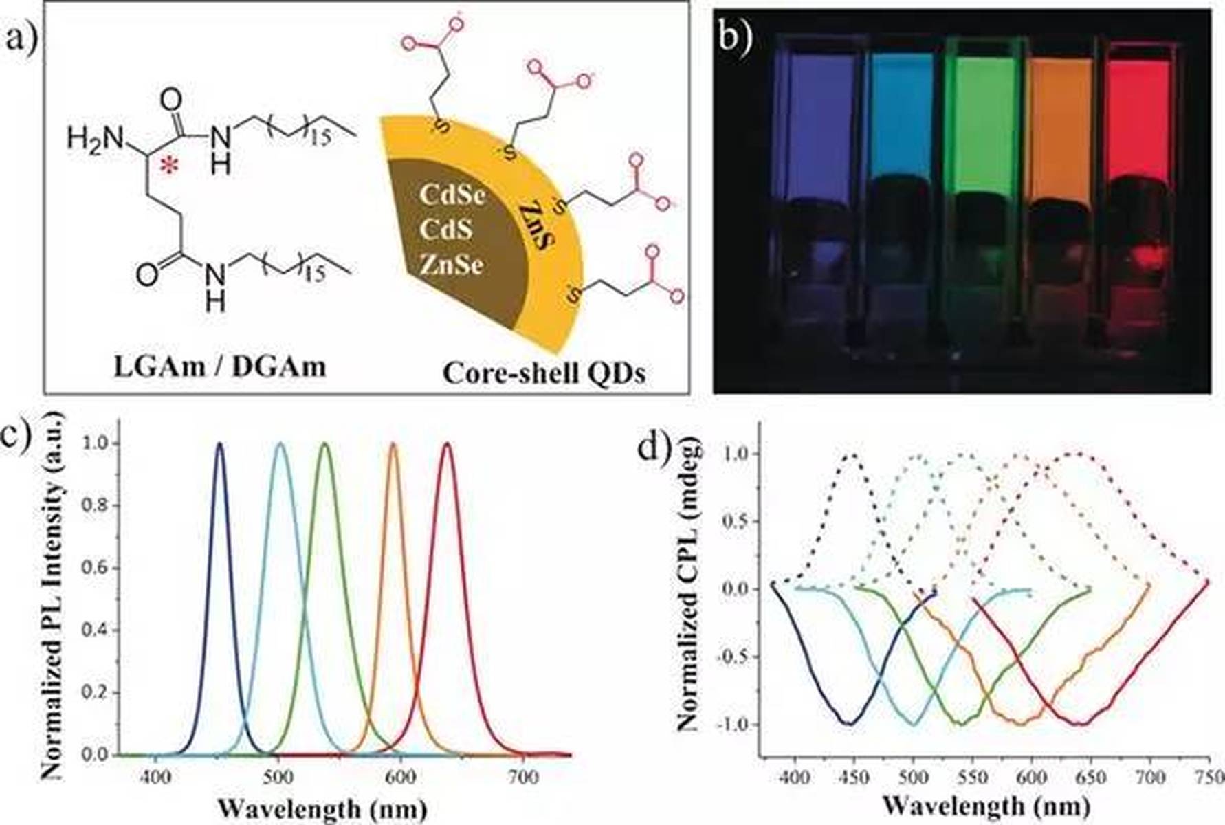 Angew. Chem. Int. Ed.：自组装发光量子点构筑全色白光圆偏振光