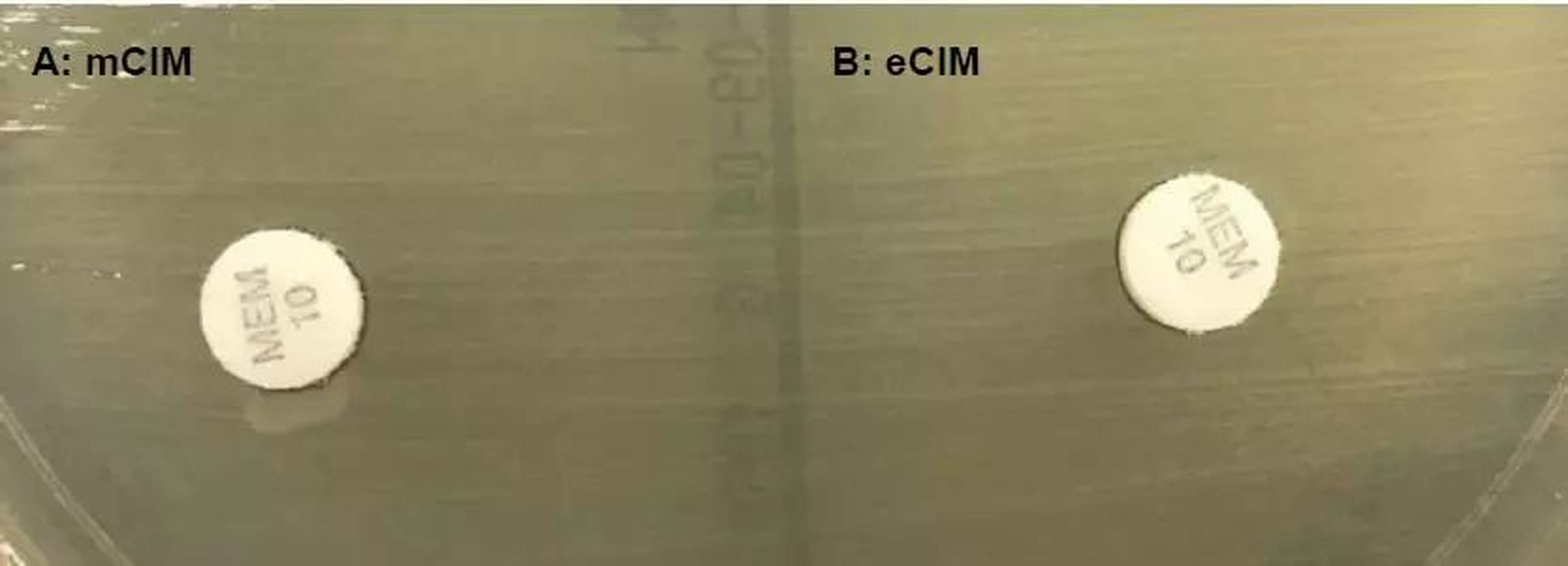 [最新]2018年CLSI文件更新：关于mCIM和eCIM实验