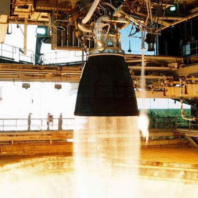 “胖五”的“心脏”真的有问题吗？_搜狐网