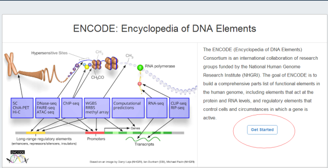 如何从ENCODE数据库中快速获取组蛋白chip-Seq的可视化数据_搜狐网