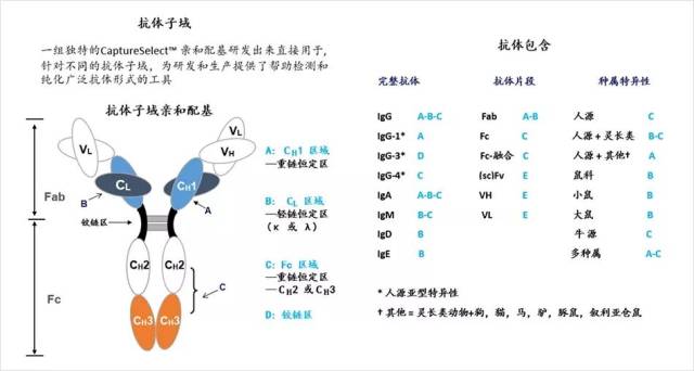CaptureSelect抗体亲和填料集体亮相，折扣价助力抗体纯化_搜狐网