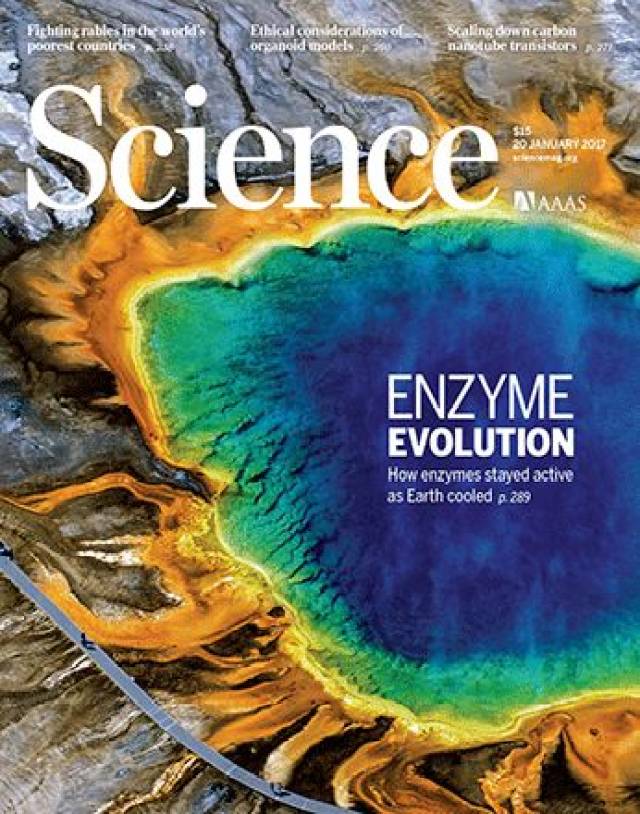 science杂志图片,e图片,e杂志_大山谷图库