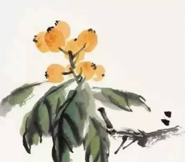 枇杷国画,枇杷画写意图,燕子画_大山谷图库