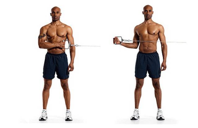 肩外旋动作,肩外旋肌群,手臂内旋和外旋图_大山谷图库